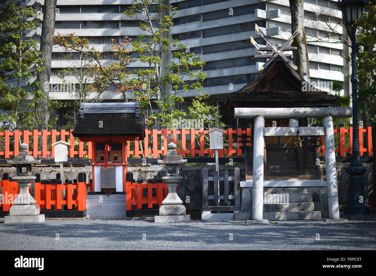 Entrance to the Shinto shrine with ancient stone lanterns, the arch and ...