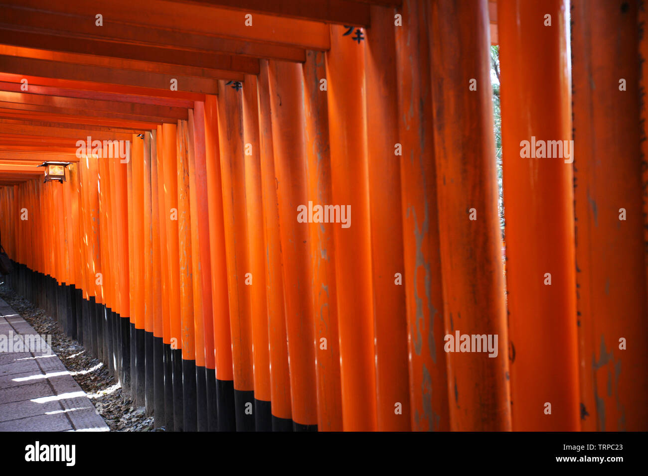 Red wooden torii gate in the territory of a Shinto temple in Kyoto ...