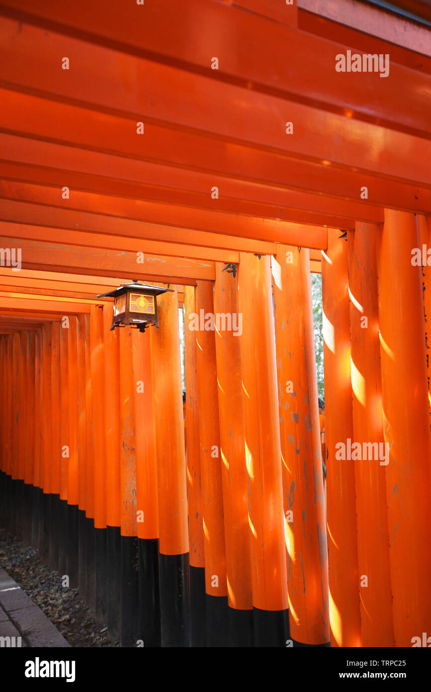 Red wooden torii gate in the territory of a Shinto temple in Kyoto ...