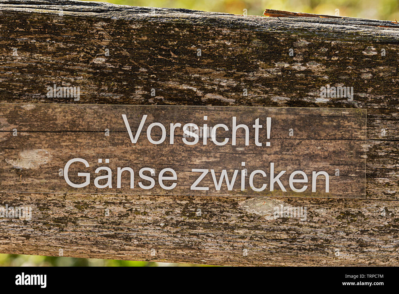 Animal sign language hi-res stock photography and images - Alamy