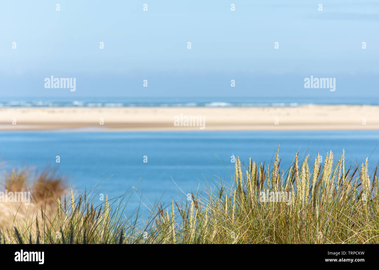 Bank of arguin hi-res stock photography and images - Alamy
