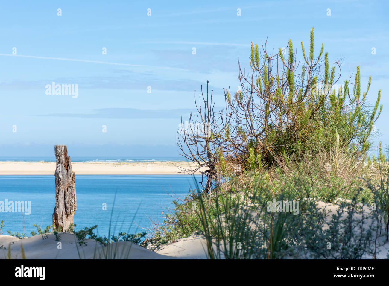 Bank of arguin hi-res stock photography and images - Alamy