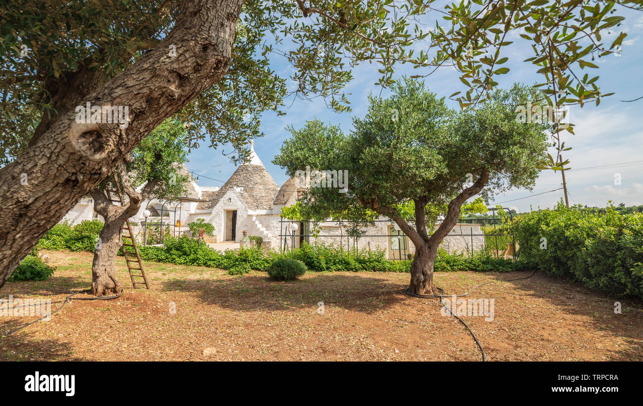 Trulli of Valle D'Itria and Alberobello Stock Photo - Alamy