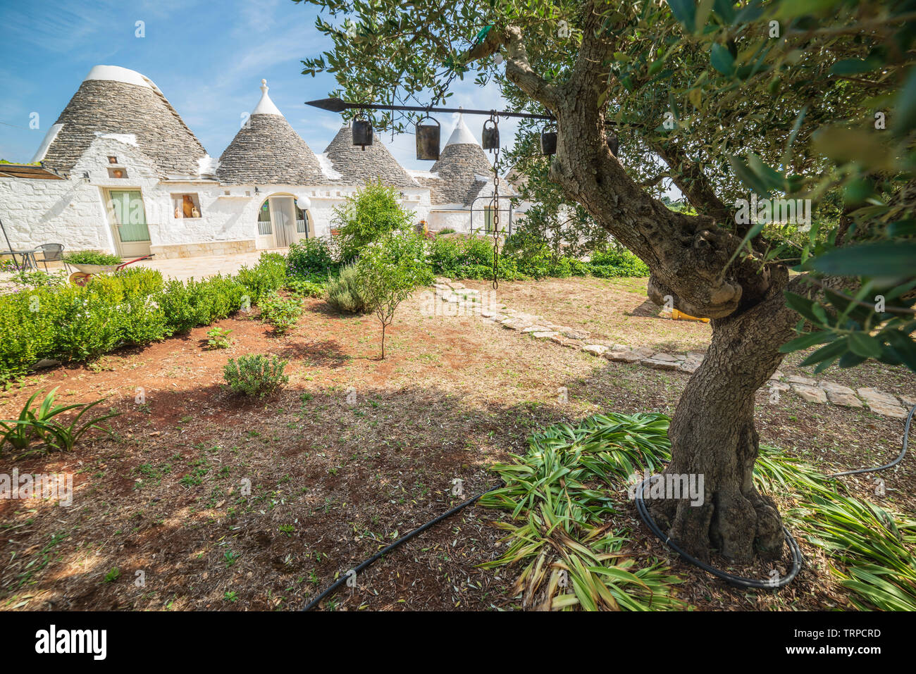 Trulli of Valle D'Itria and Alberobello Stock Photo - Alamy