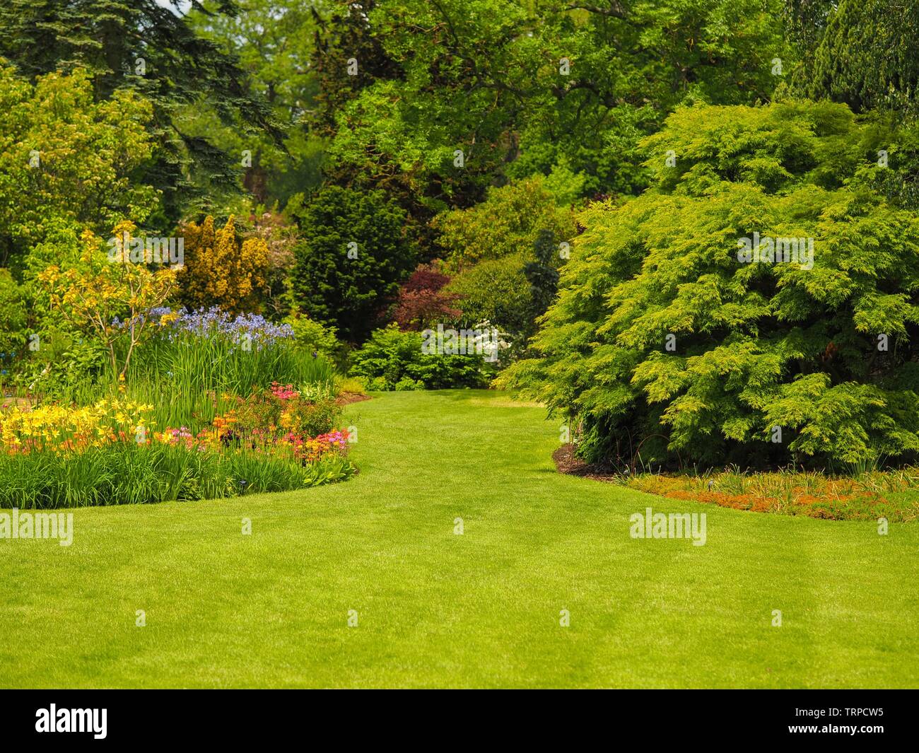 Harlow Carr Garden in Harrogate, North Yorkshire, England, in summer ...