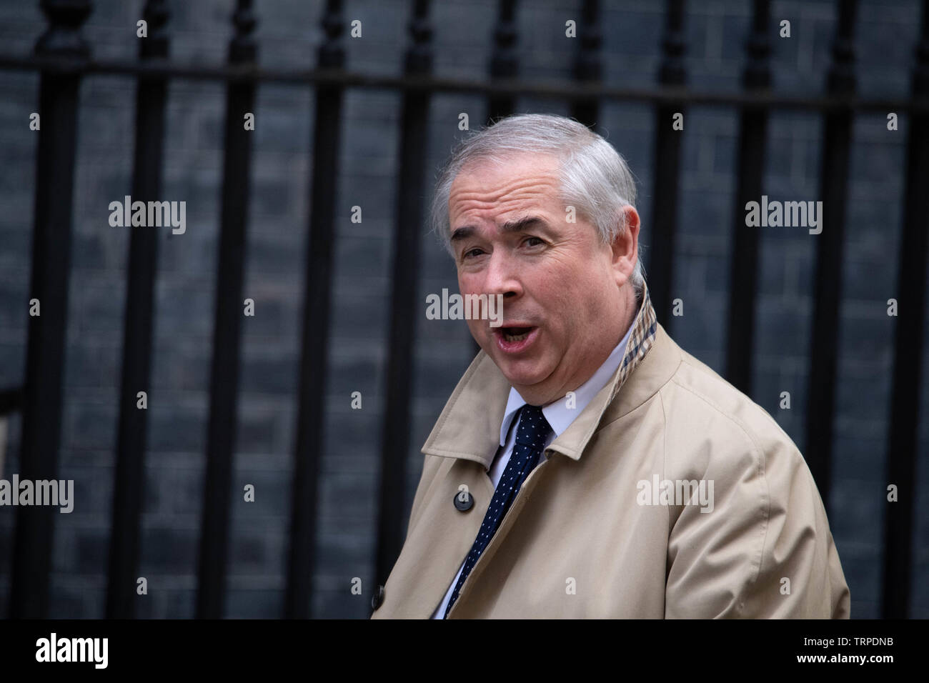 2019 geoffrey cox qc mp hi-res stock photography and images - Alamy