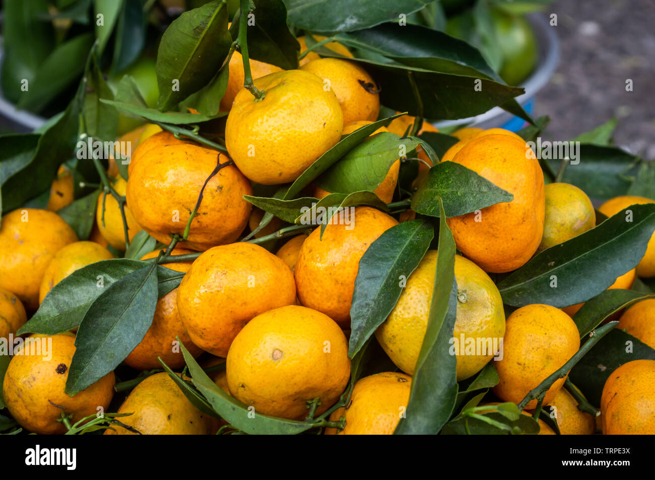 Orange in local market in Saigon Stock Photo - Alamy