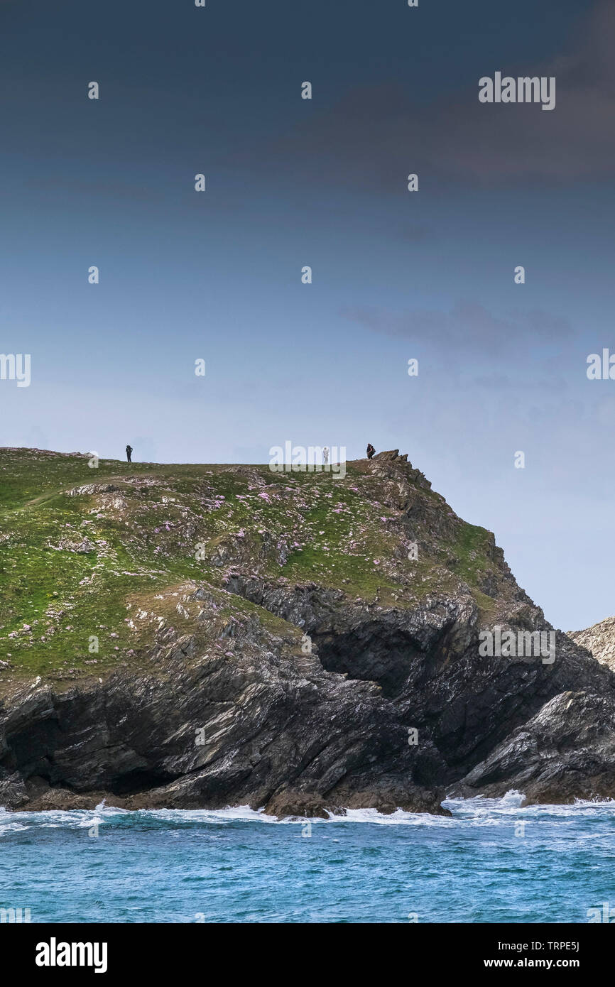 Tiny head hi-res stock photography and images - Alamy