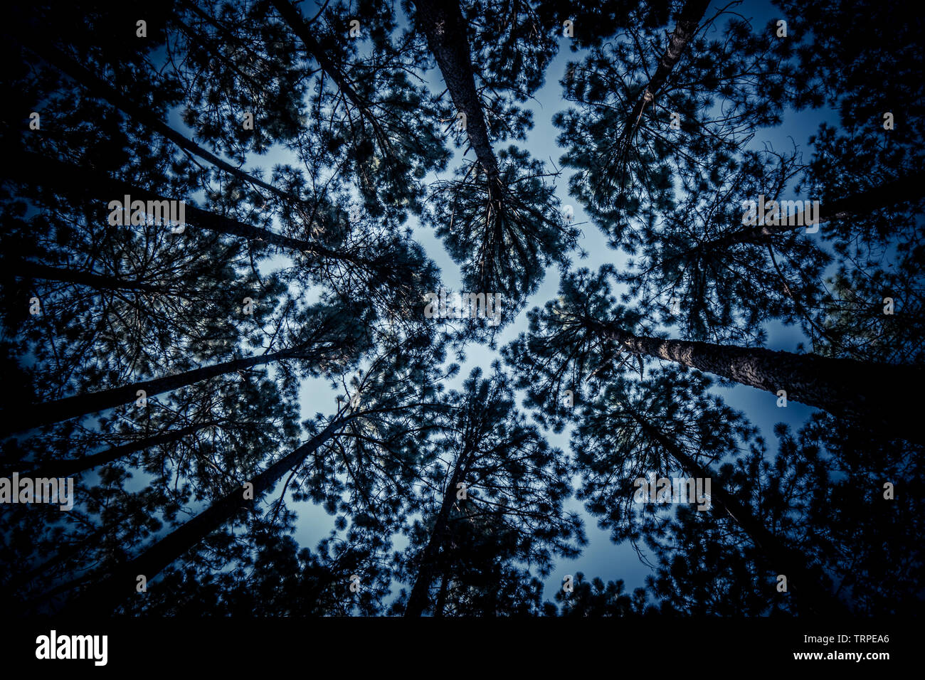 Ambitious look hi-res stock photography and images - Alamy