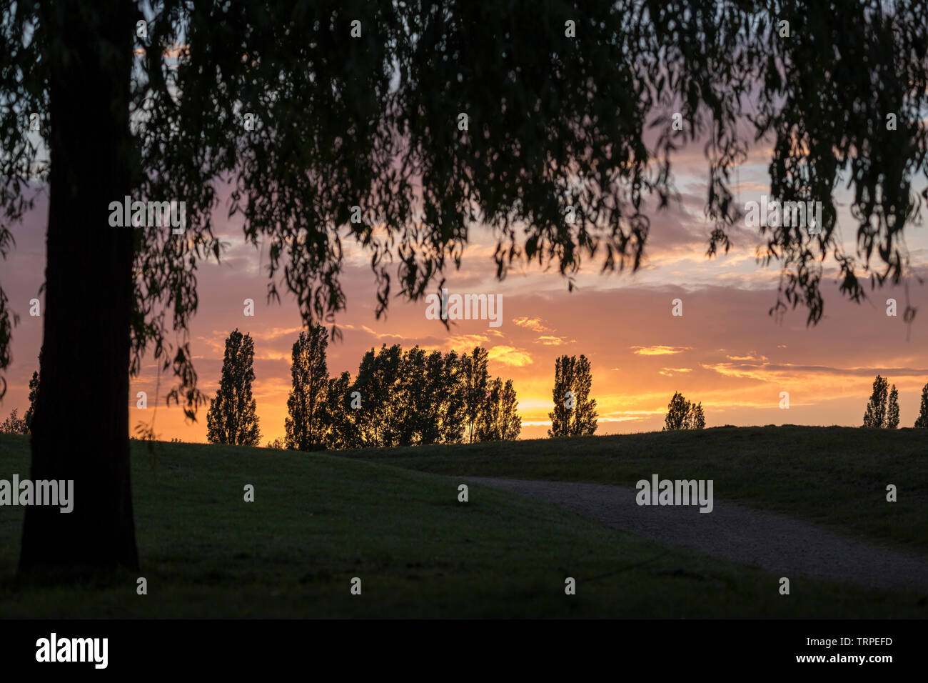 Evening sunset sky in UK country park Stock Photo - Alamy