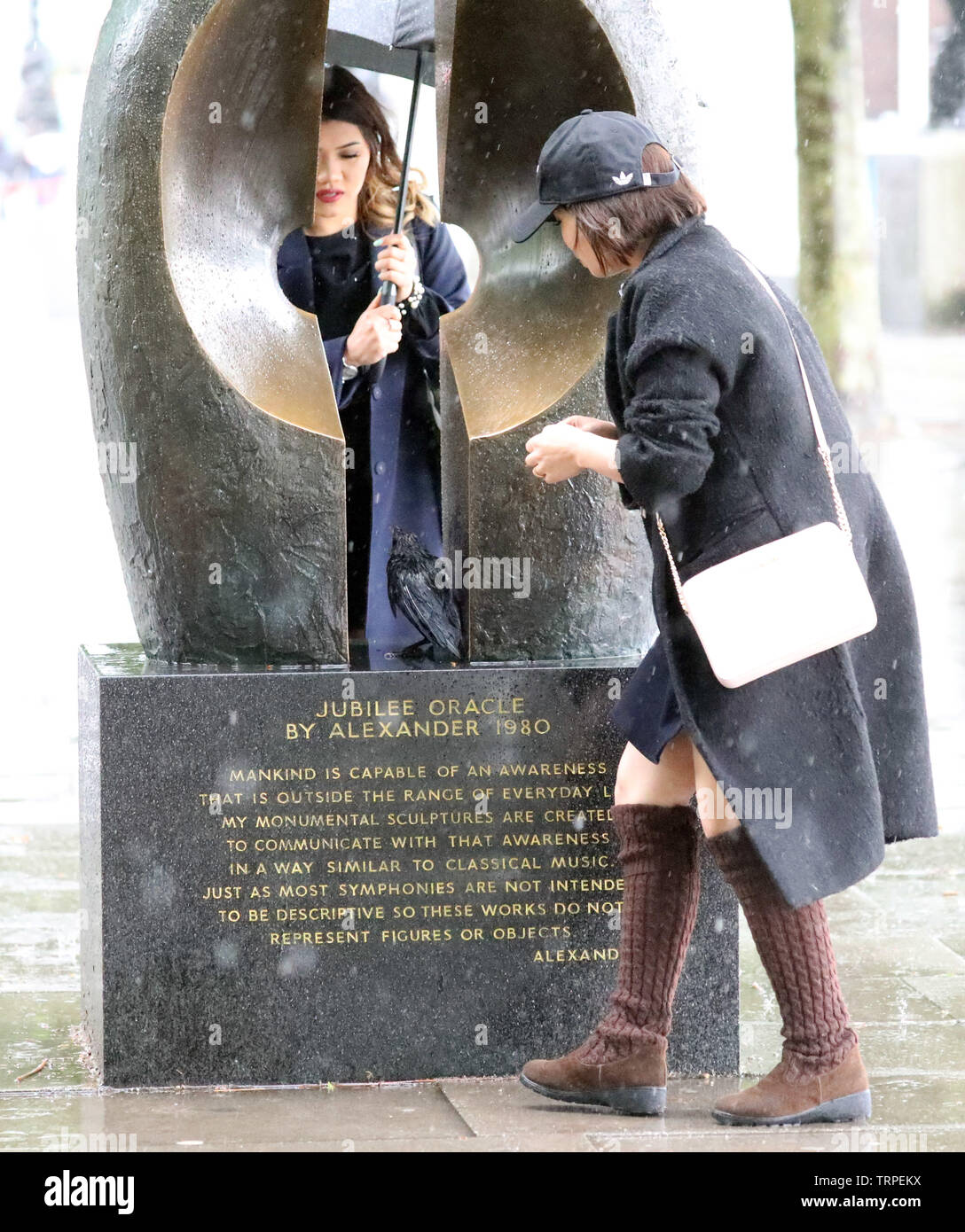 Drenched bird hi-res stock photography and images - Alamy