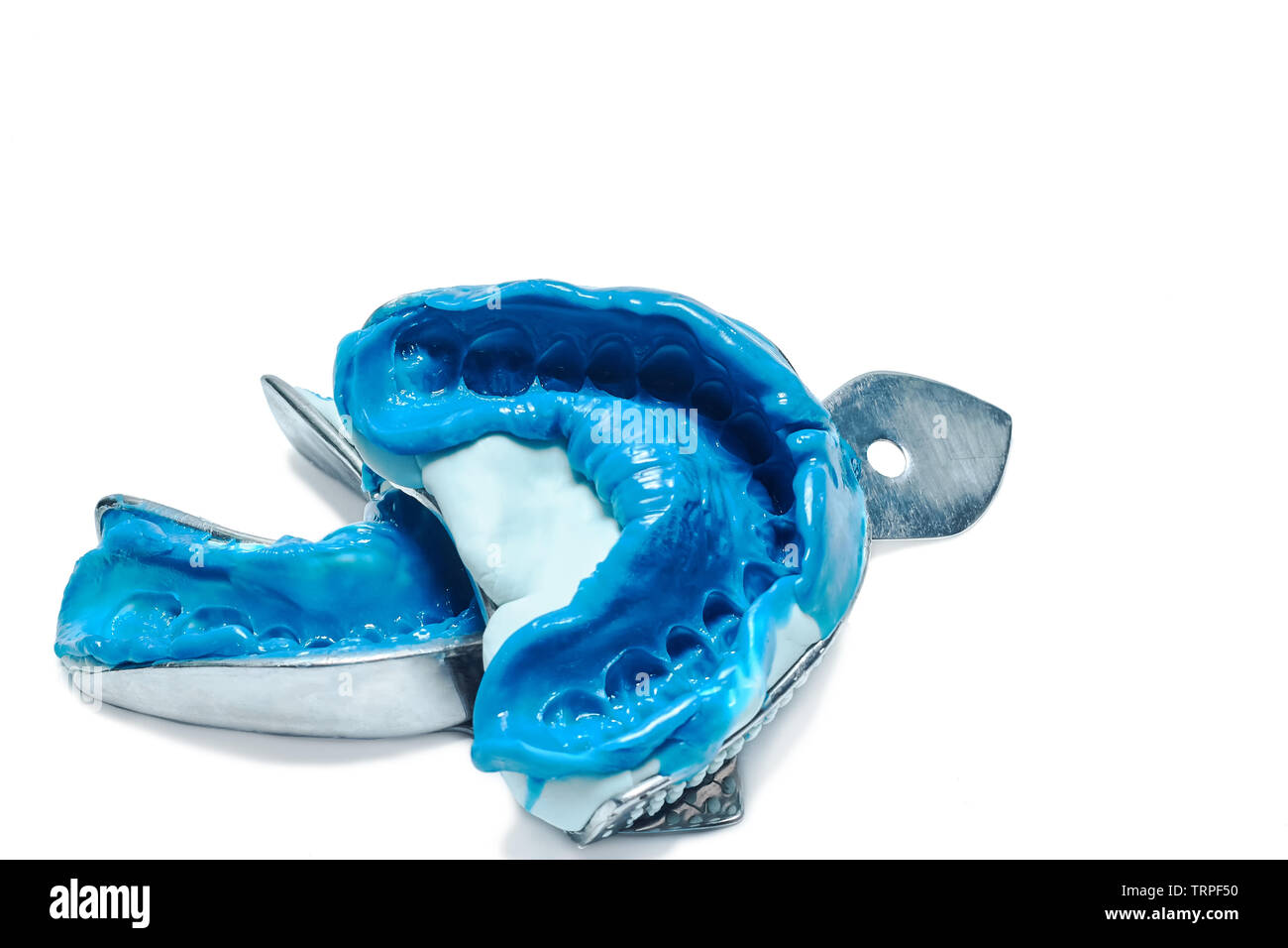 Two dental impressions on a white background with copy space. Dental ...