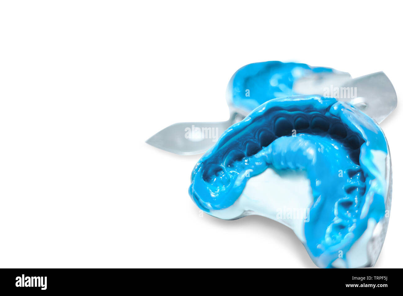 Two dental impressions on a white background with copy space. Dental ...