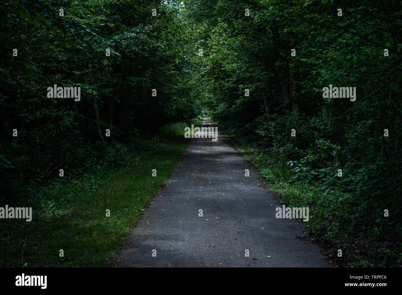 Vert pluie hi-res stock photography and images - Alamy