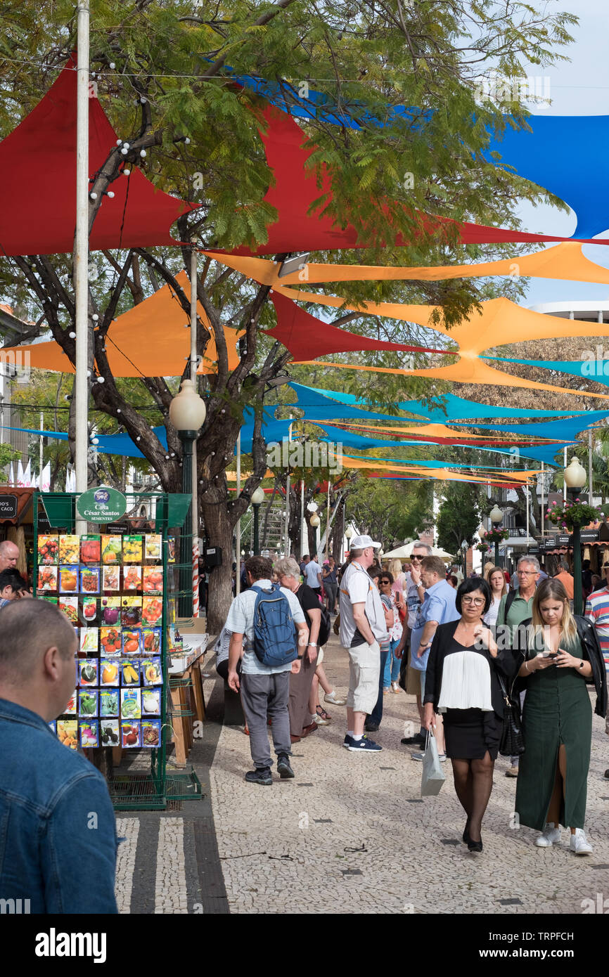 Carnival time along Avenida Arriaga, Funchal, Madeira 2019 Stock Photo ...