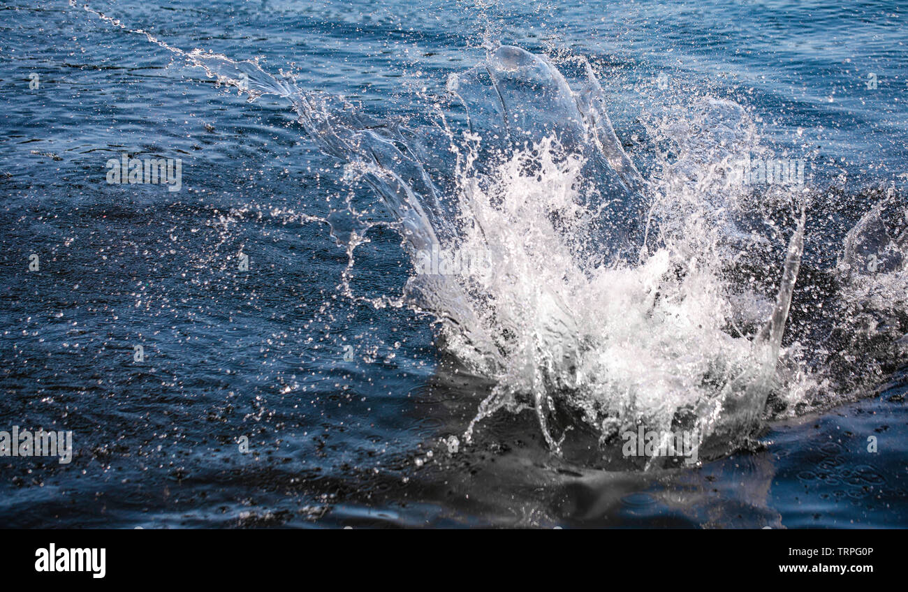 Water splash, drops in air over the lake surface Stock Photo - Alamy