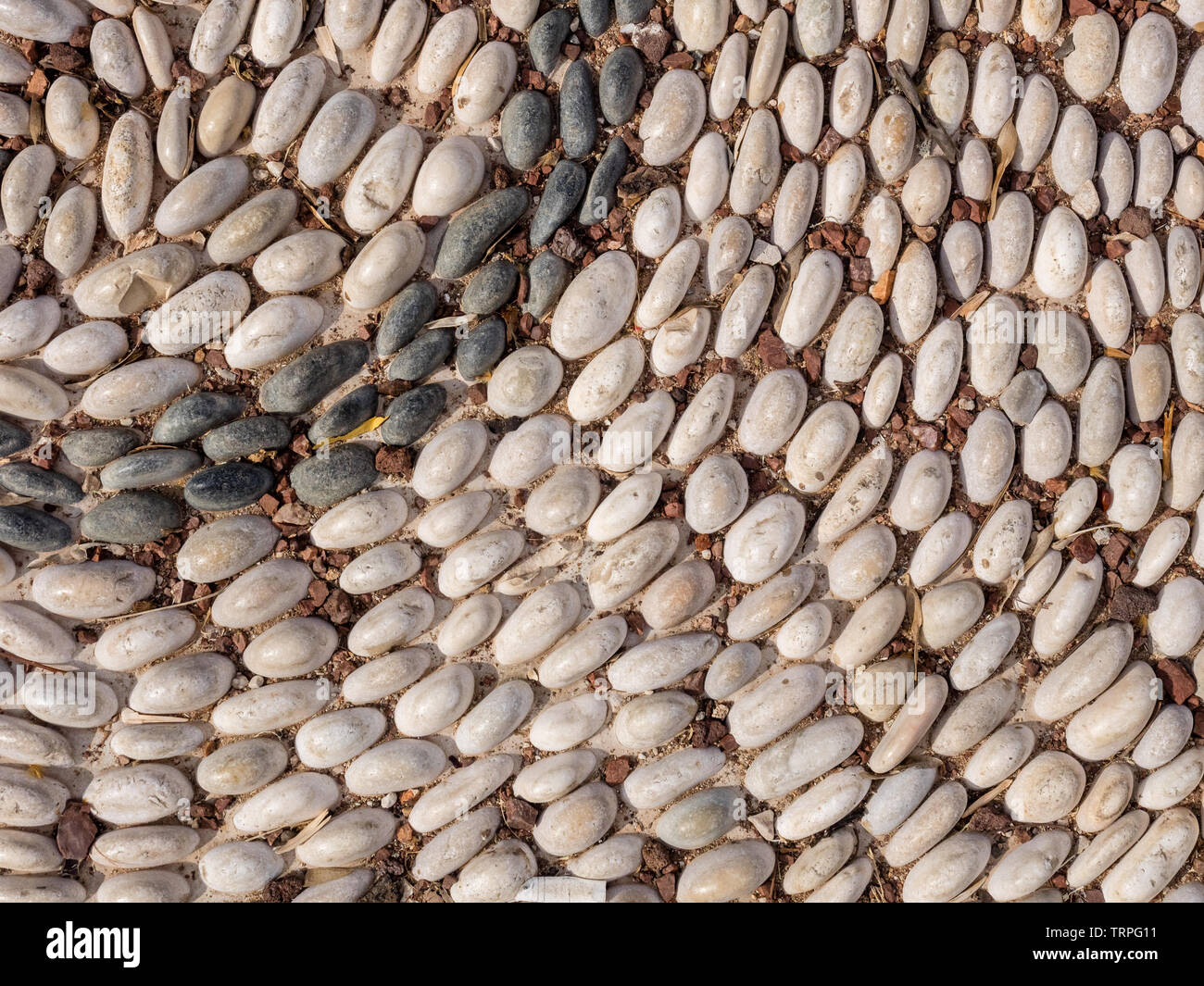 Fragment of pavement made of river round pebbles in a public park ...