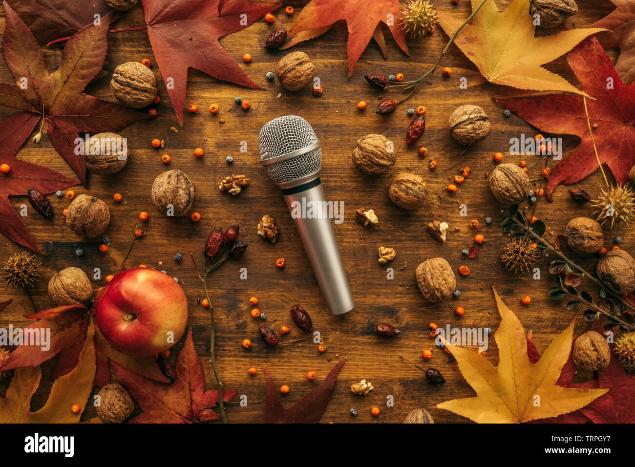 Flat lay top view microphone with autumn arrangement of dry maple ...