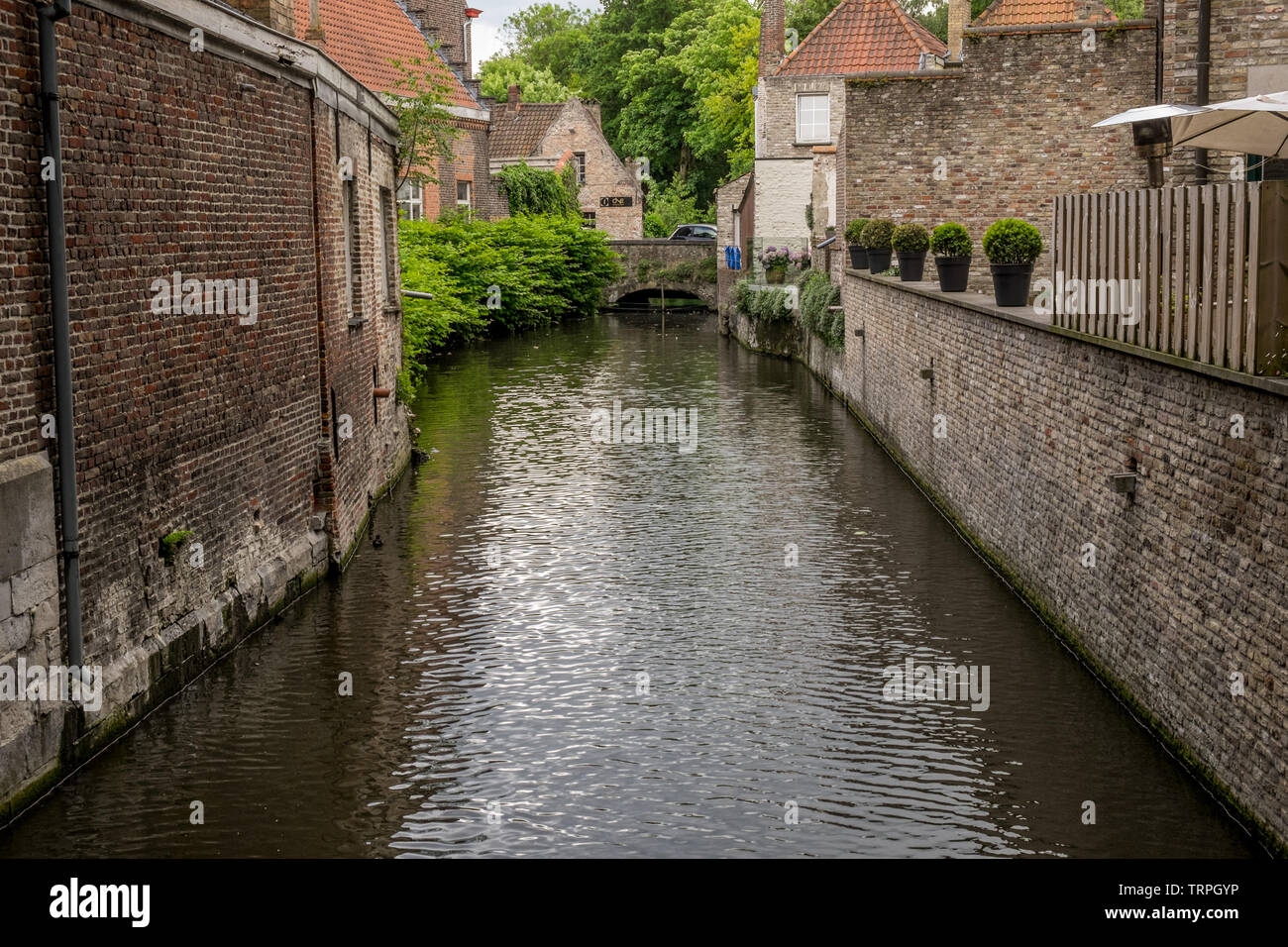 The canals of Brugge, Belgium Stock Photo - Alamy