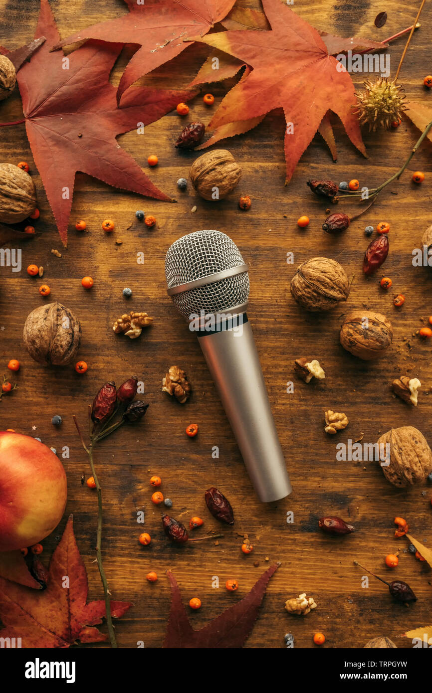 Microphone nostalgic hi-res stock photography and images - Alamy