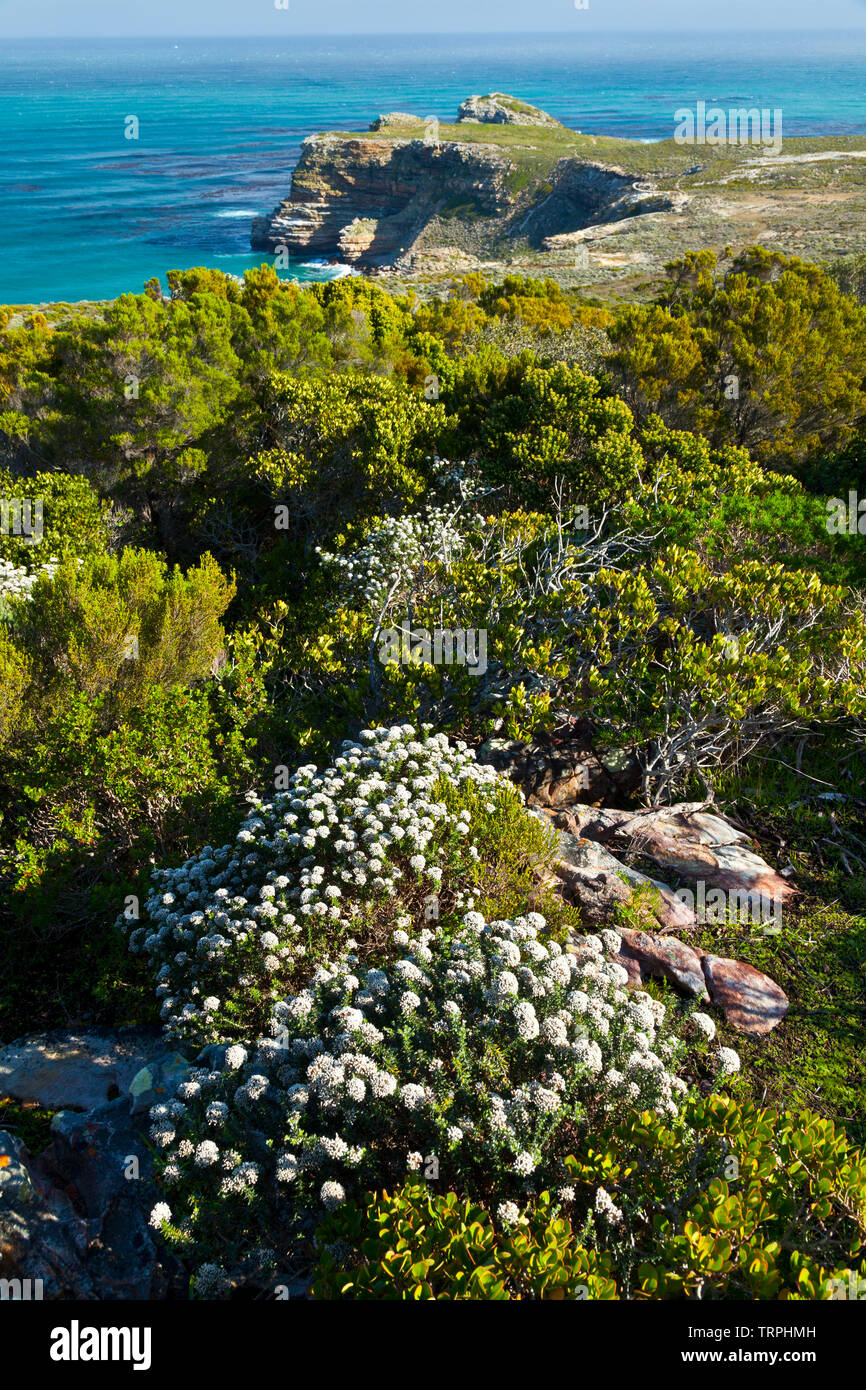 Cape Point, False Bay, South Africa, Africa Stock Photo - Alamy