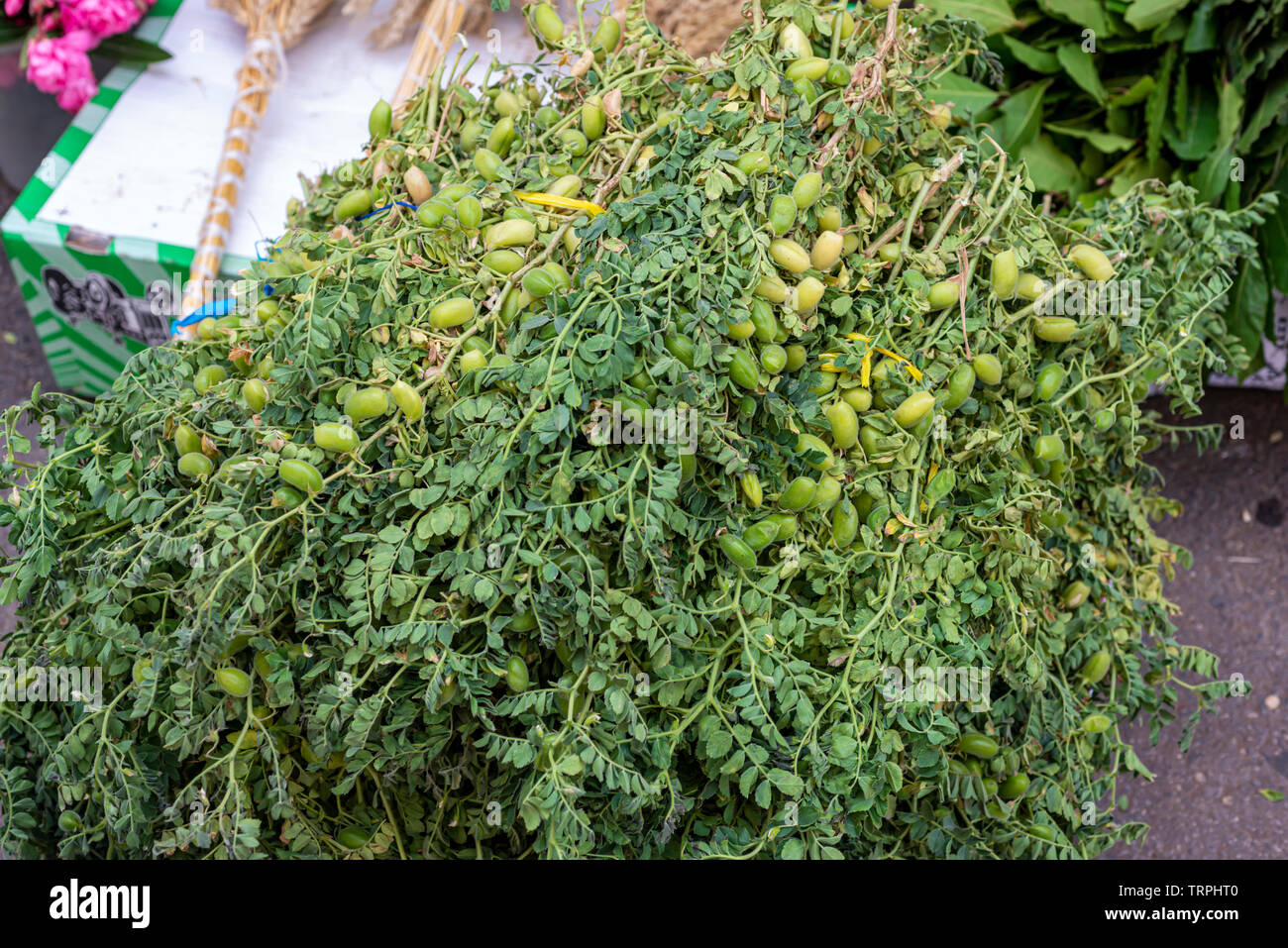 Fresh chickpeas branches on the market Stock Photo - Alamy