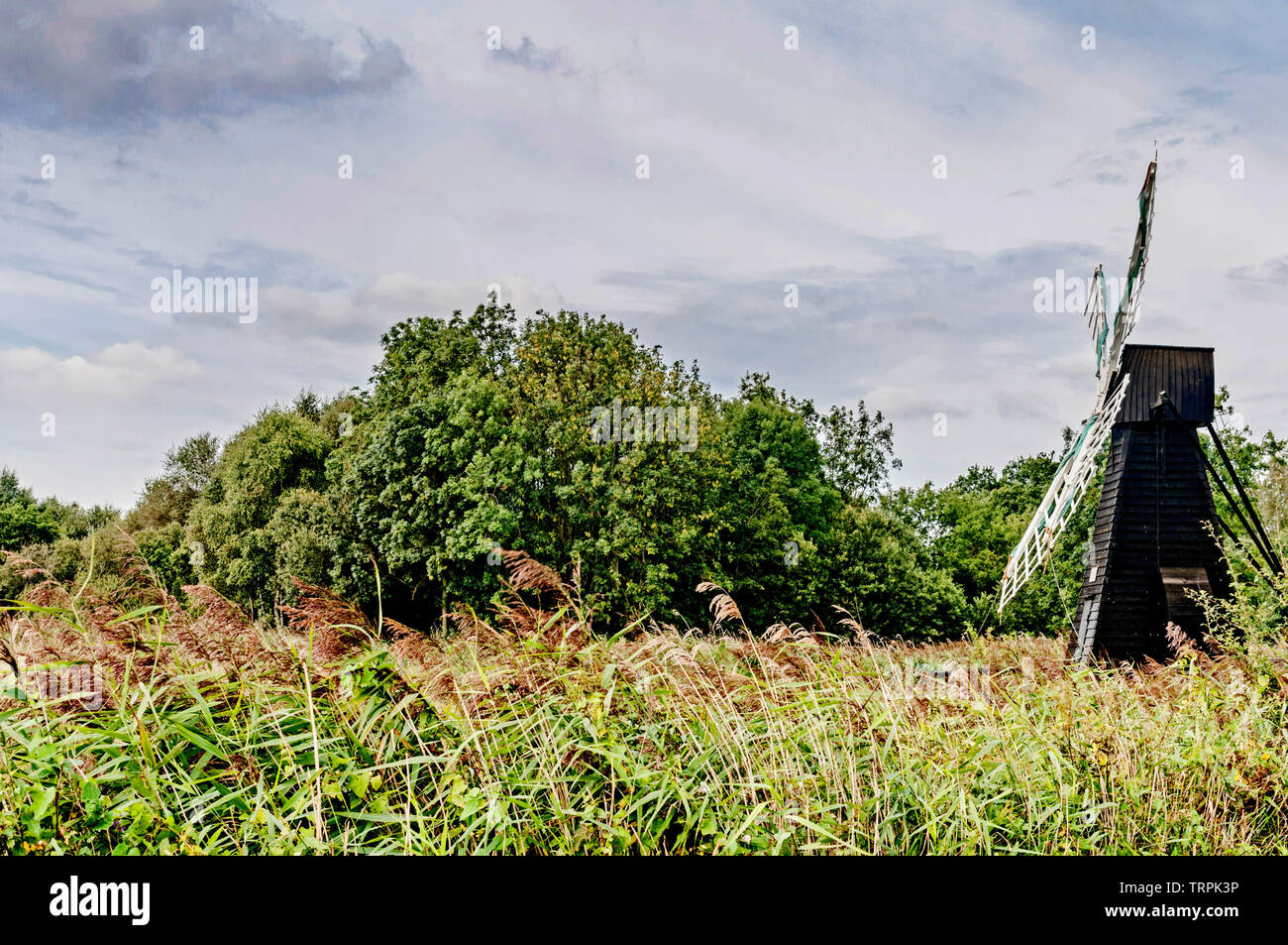 Fenland (Cambridgeshire, England Stock Photo - Alamy