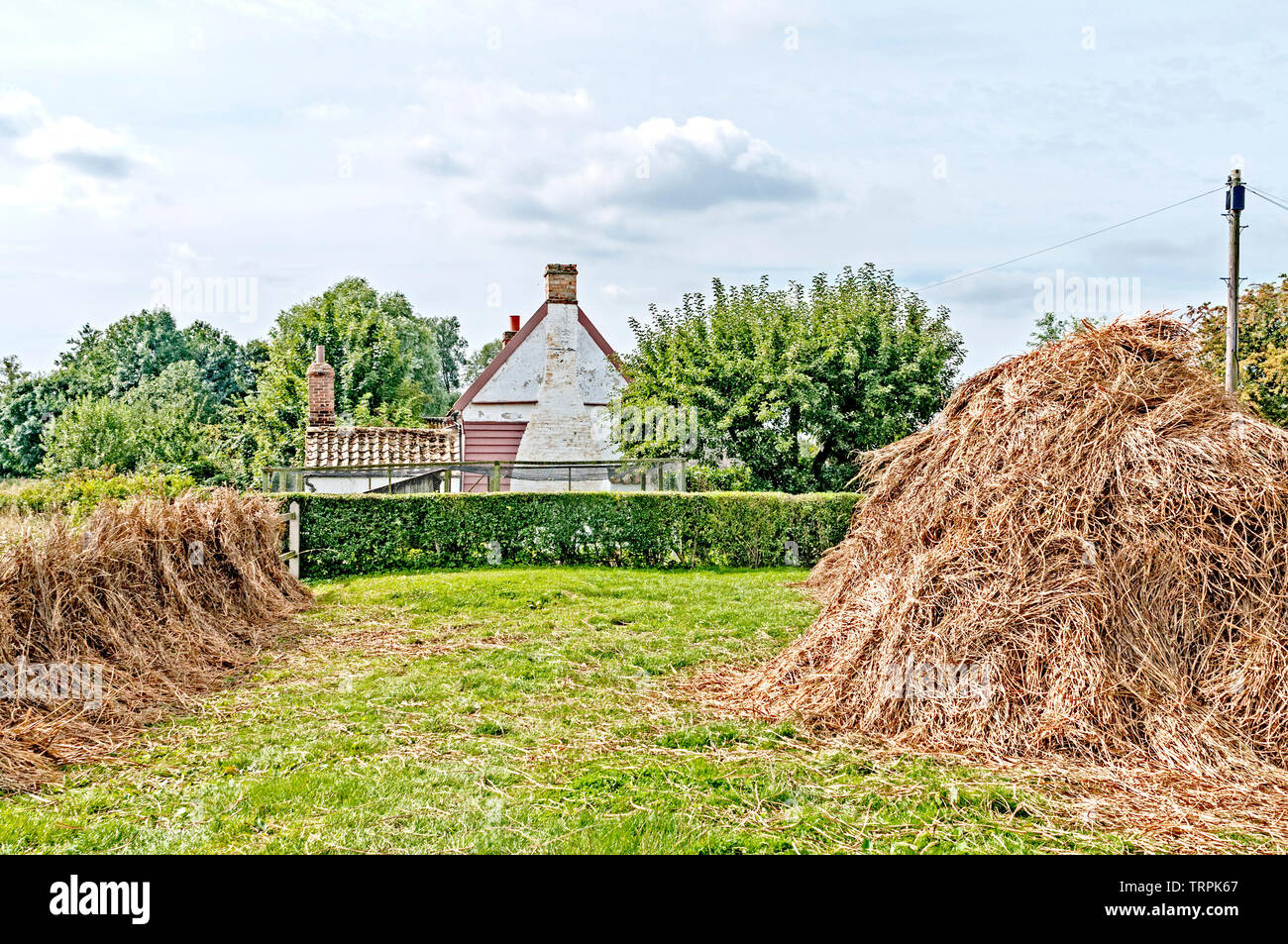 Uk landscape fens fenland hi-res stock photography and images - Alamy