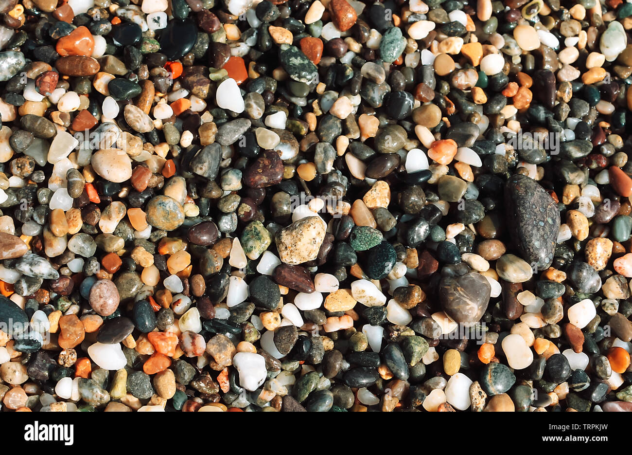 Wet sea pebbles hi-res stock photography and images - Alamy