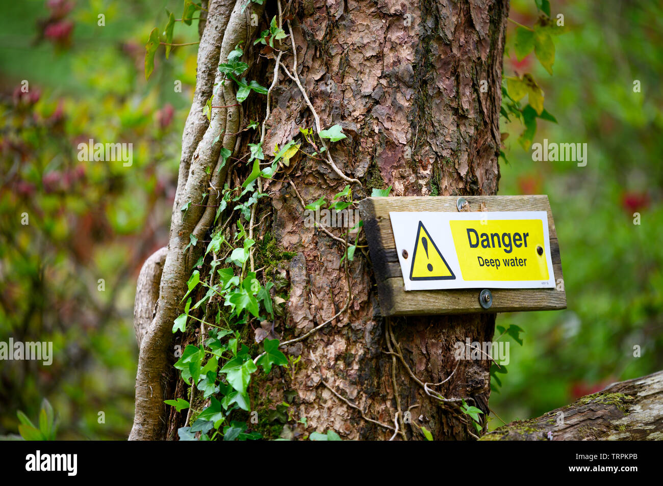 Deep water warning sign in hi-res stock photography and images - Alamy