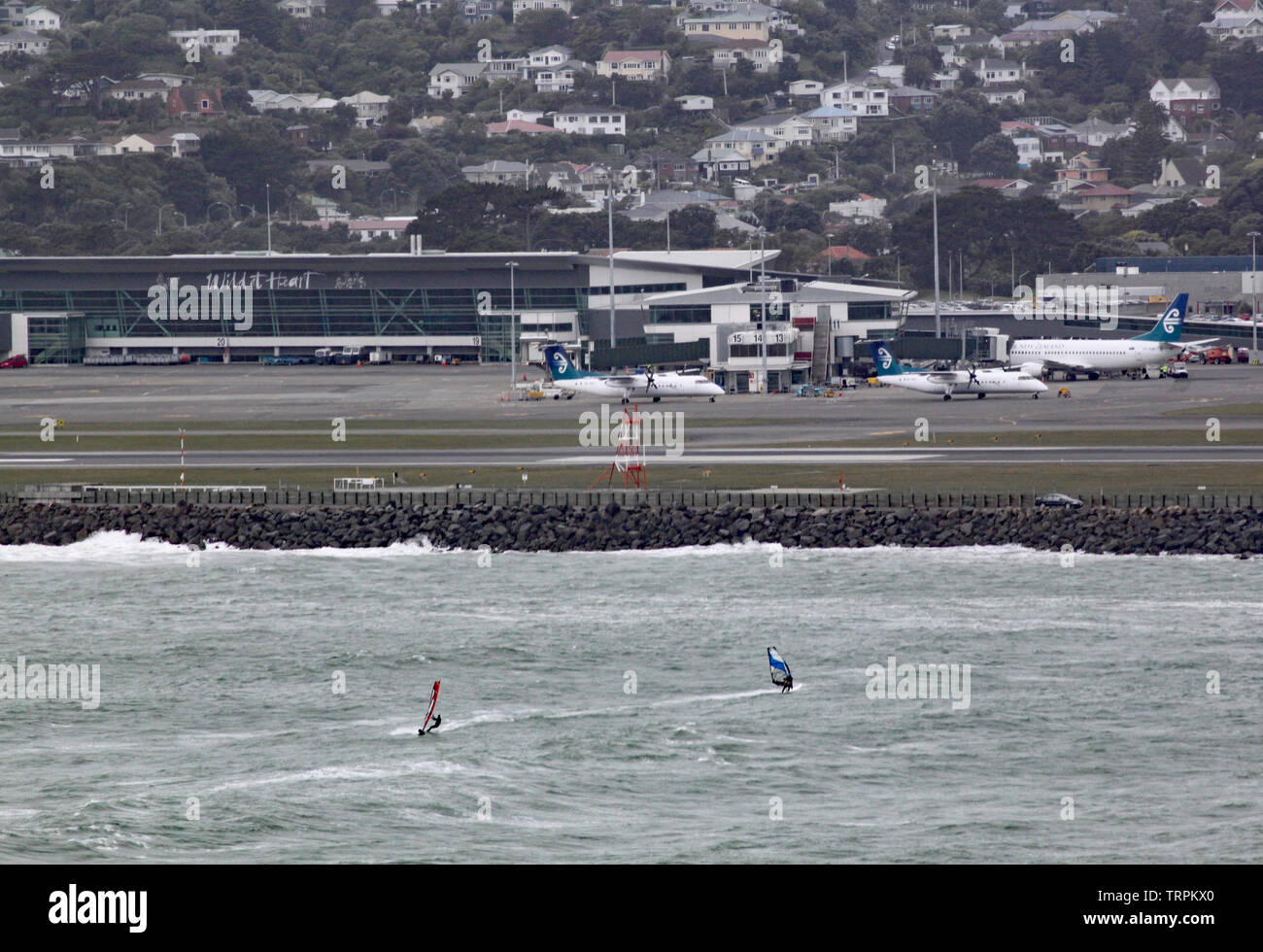 Lyall bay hi-res stock photography and images - Alamy