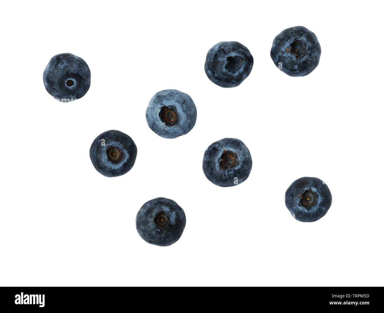 Set blueberries isolated on hi-res stock photography and images - Alamy