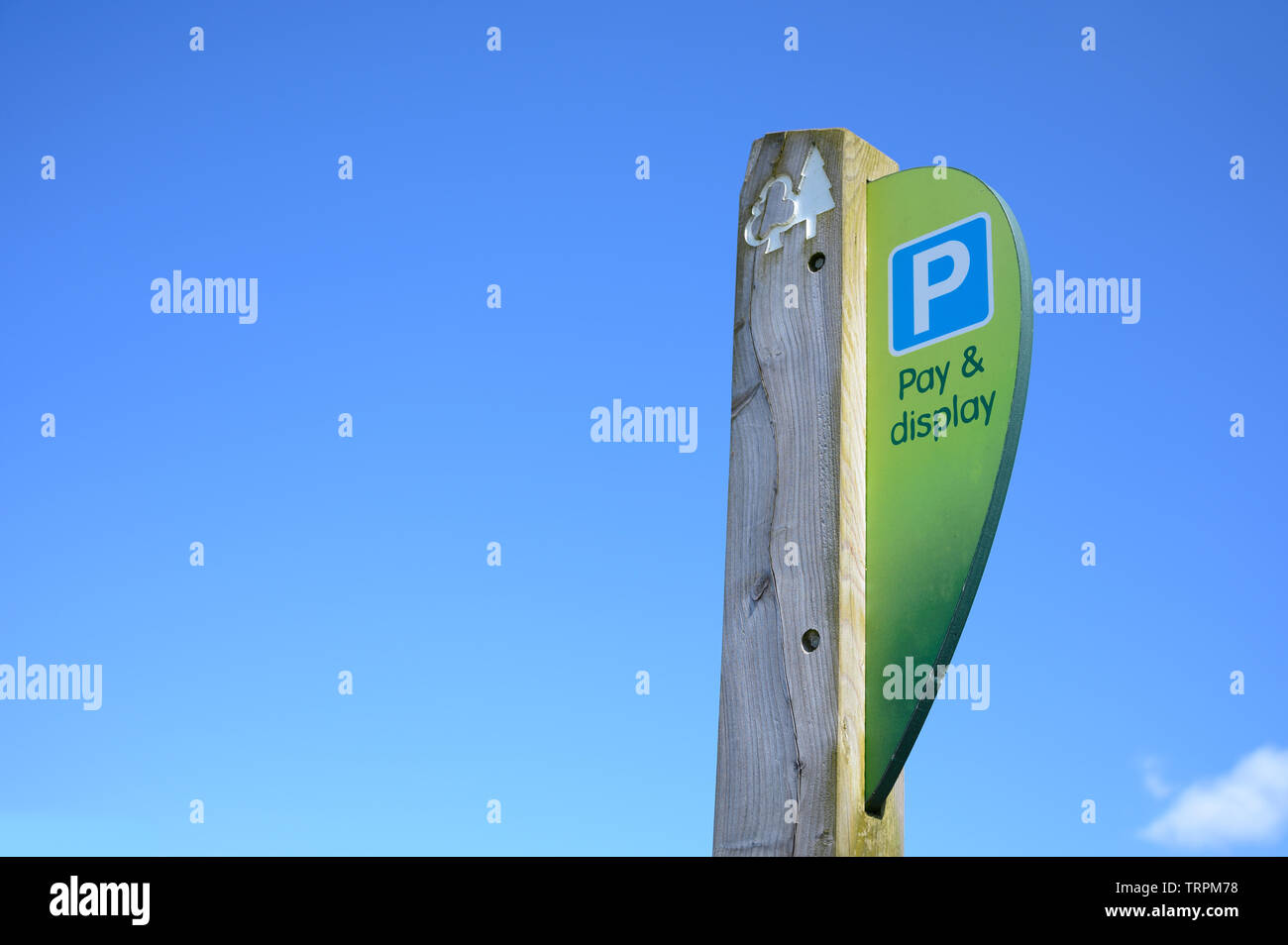 Forestry sign Pay and Display parking Stock Photo - Alamy