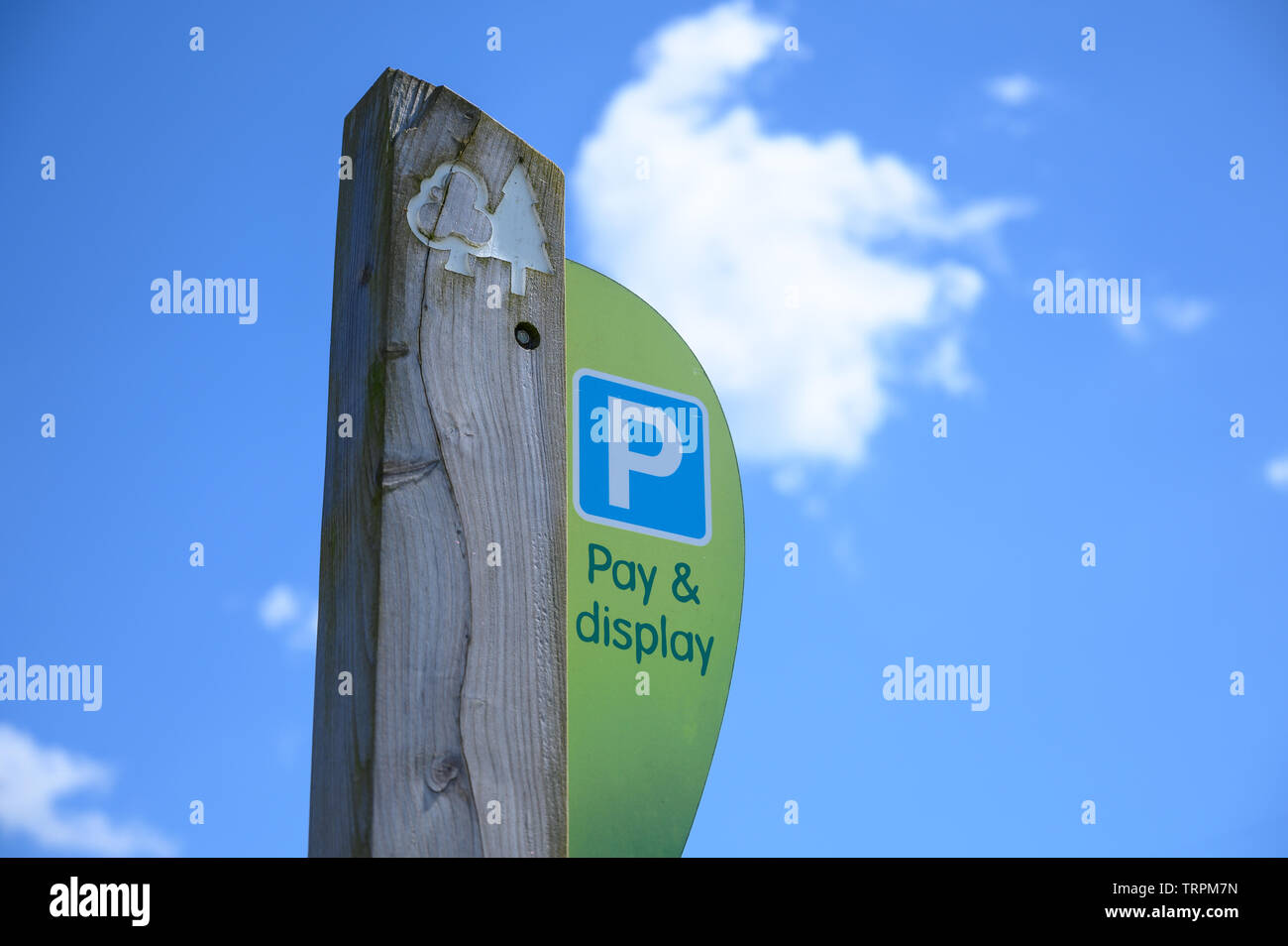 Forestry display hi-res stock photography and images - Alamy