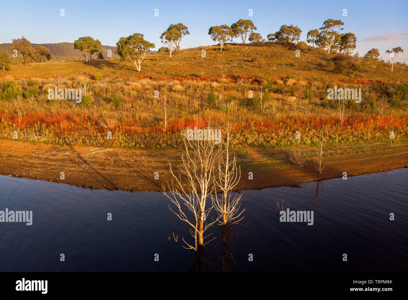 An aerial of trees submerged in the water of Googong Dam, NSW Stock ...