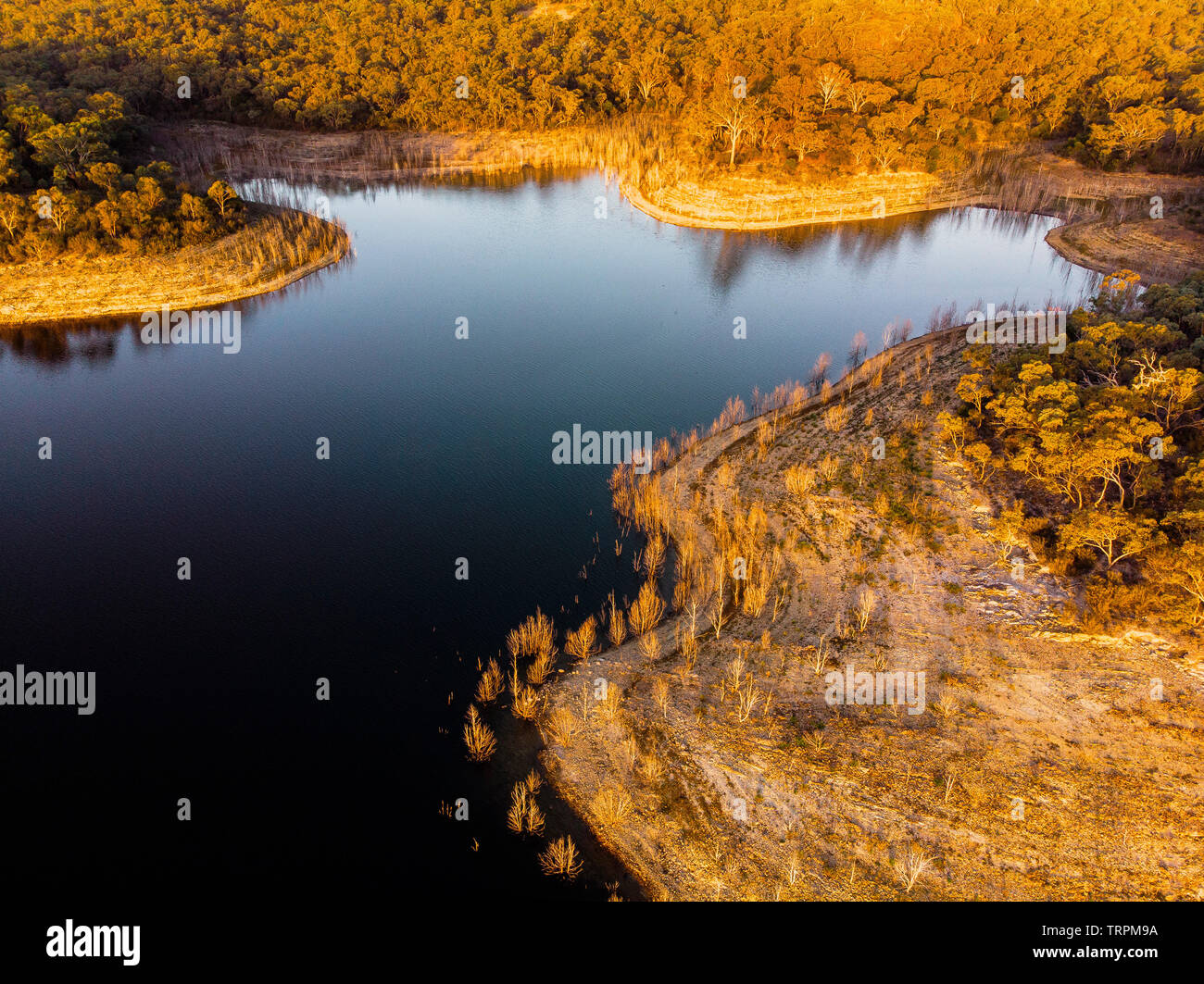 An aerial of trees submerged in the water of Googong Dam, NSW Stock ...