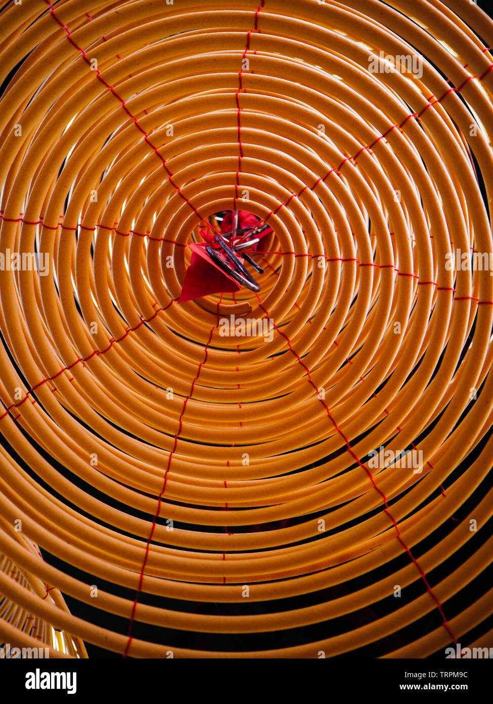 Low angle view on the inside of a large yellow incense coil hanging ...