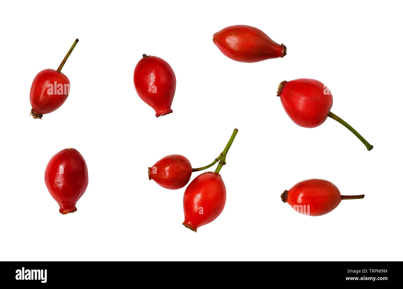 Set rose hip berries Cut Out Stock Images & Pictures - Alamy