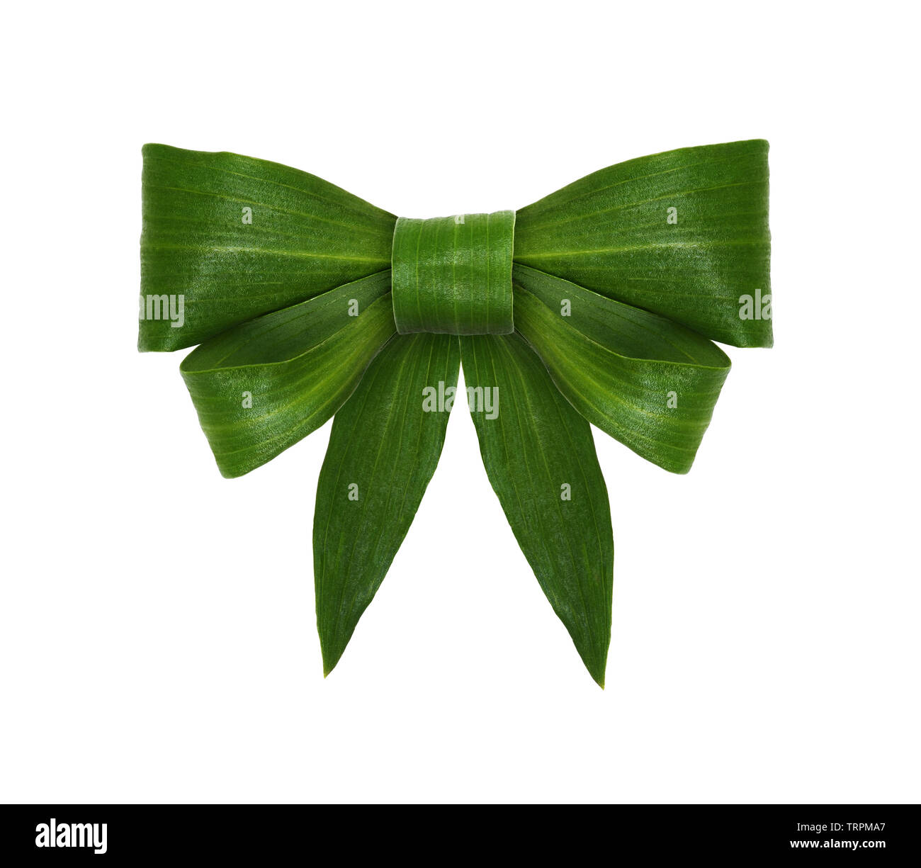 Closeup of green bow from fresh leaves isolated on white Stock Photo ...
