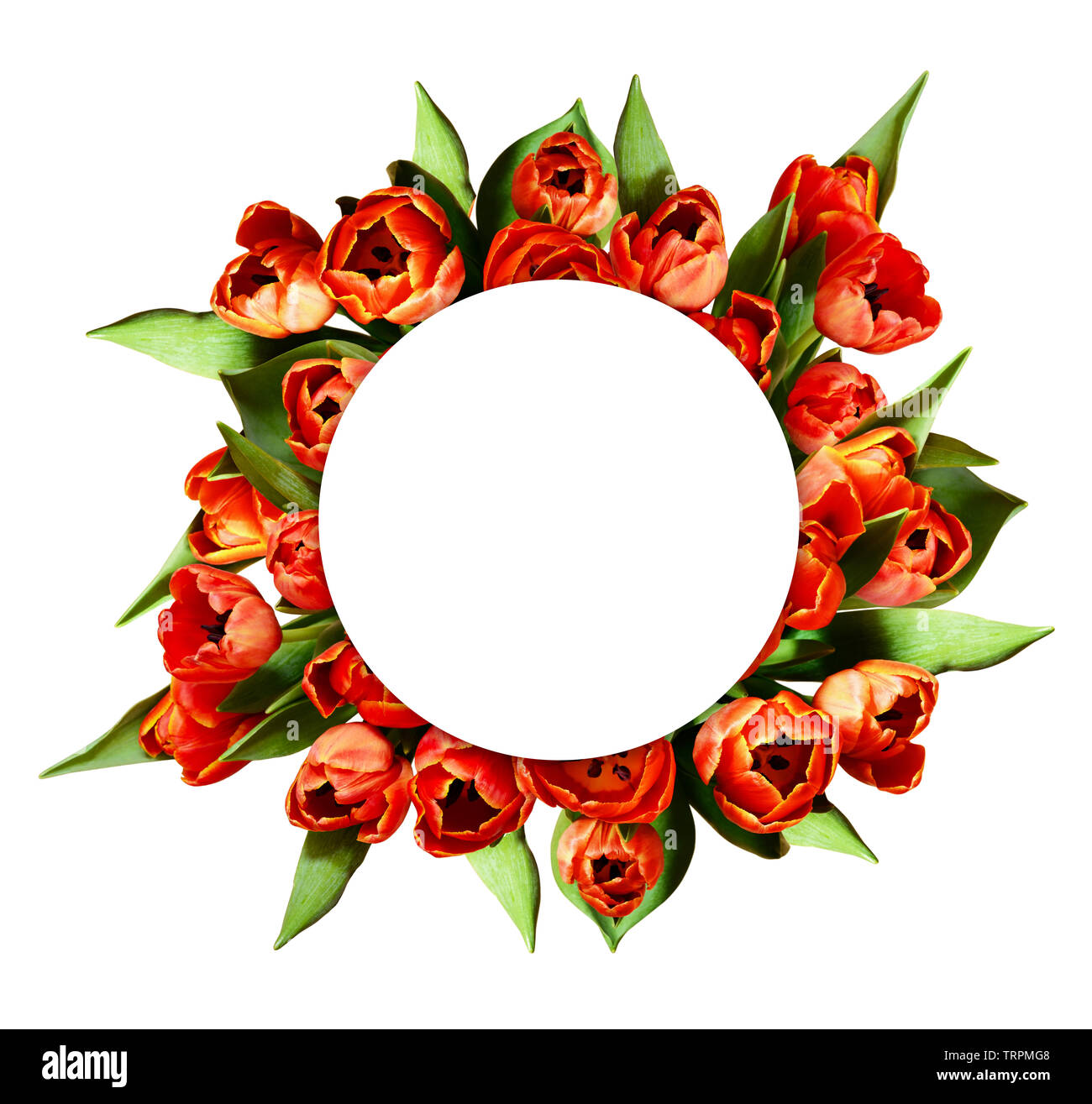 Template round red frame Cut Out Stock Images & Pictures - Alamy