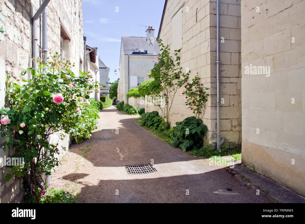 Candes St Martin houses Stock Photo - Alamy