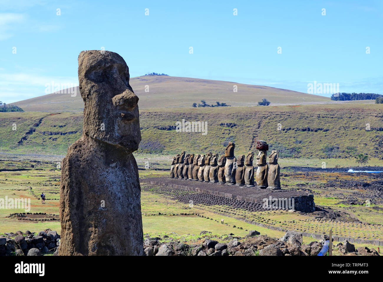 Solitary Moai statue with the famous 15 Moai on the platform at Ahu ...