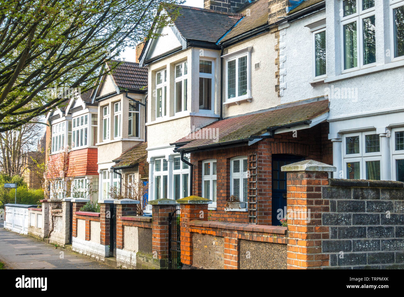 Edwardian period terrace houses hi-res stock photography and images - Alamy