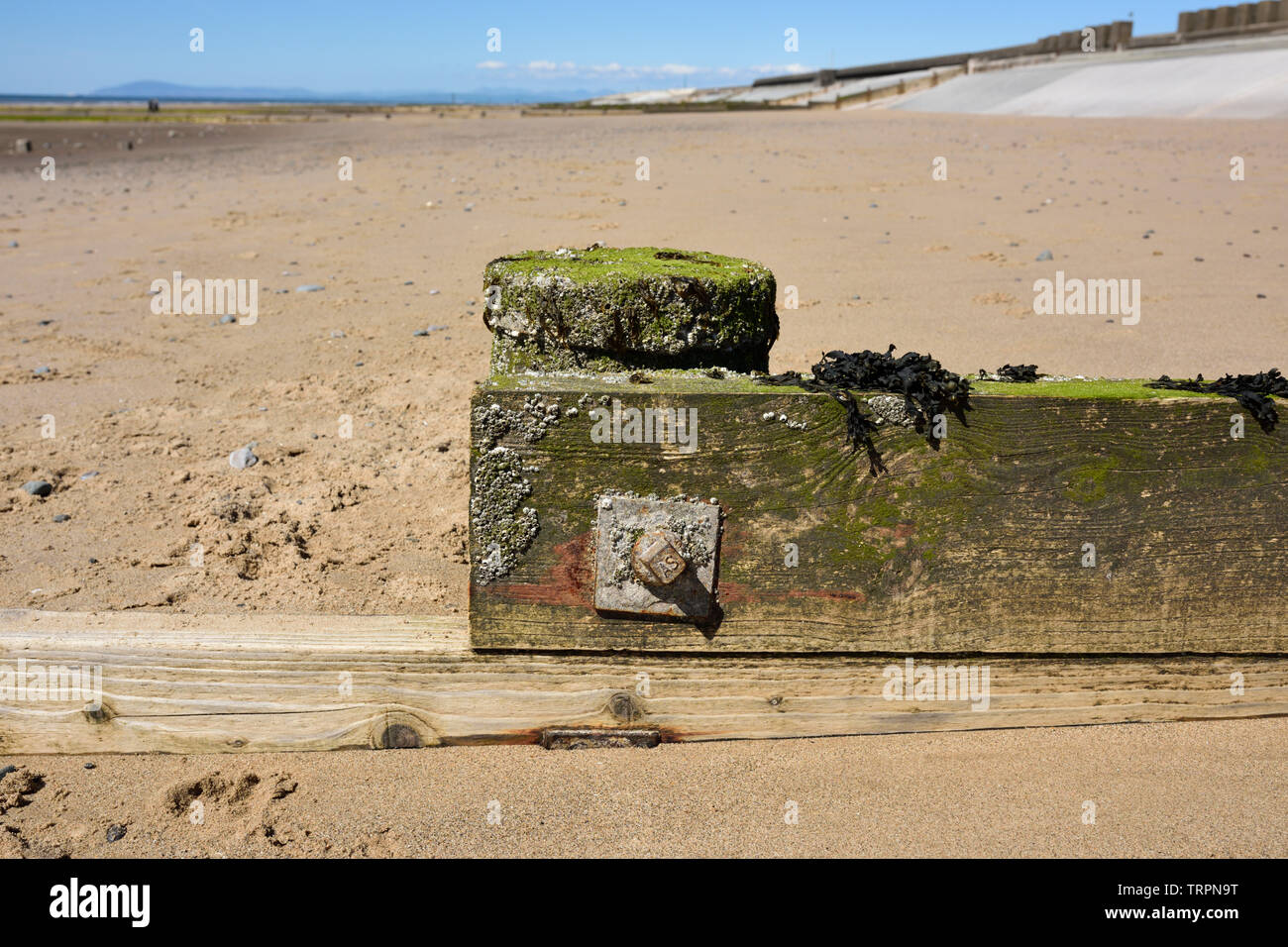 Timber planking marine environment hi-res stock photography and images ...
