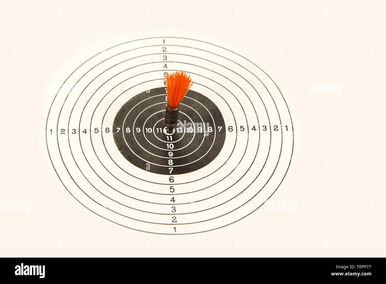 Shooting target on a white background. Success concept Stock Photo - Alamy