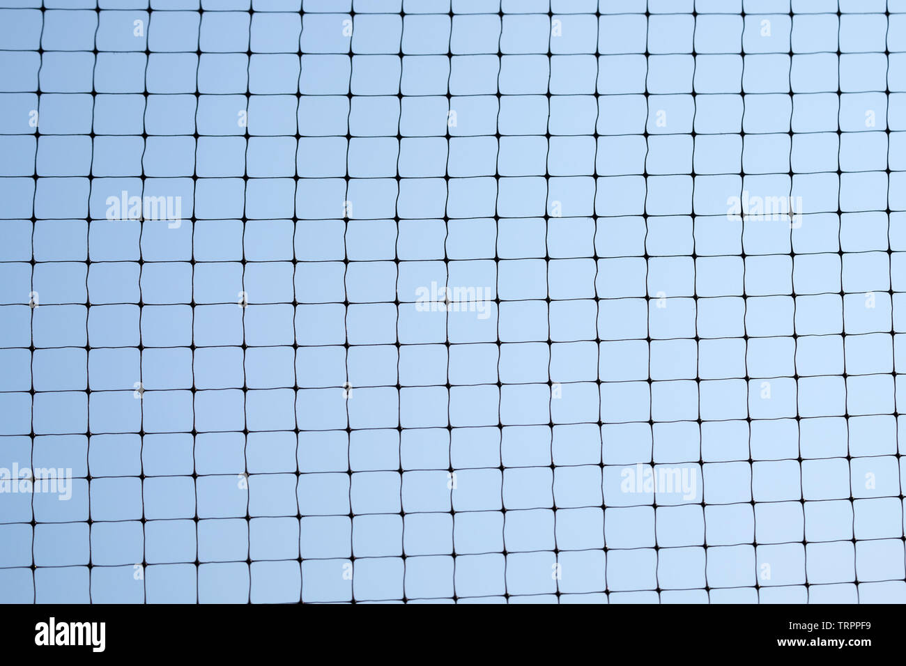 Net sort grid and blue sky Stock Photo - Alamy