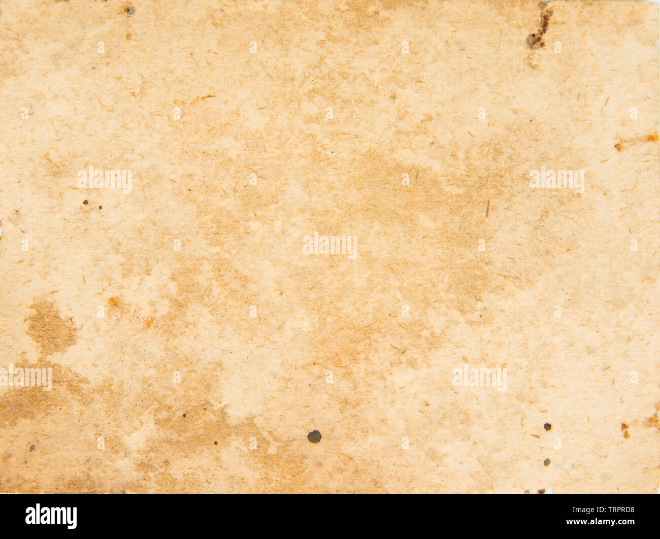 Rotten paper hi-res stock photography and images - Alamy