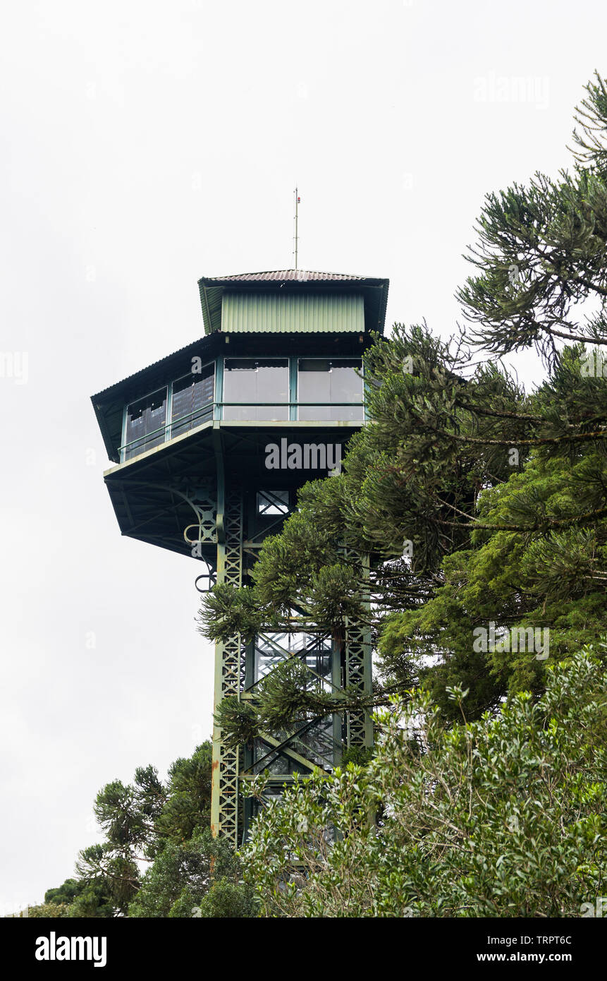 CANELA , BRAZIL - May 12, 2019. Ecological observatory of the snail ...
