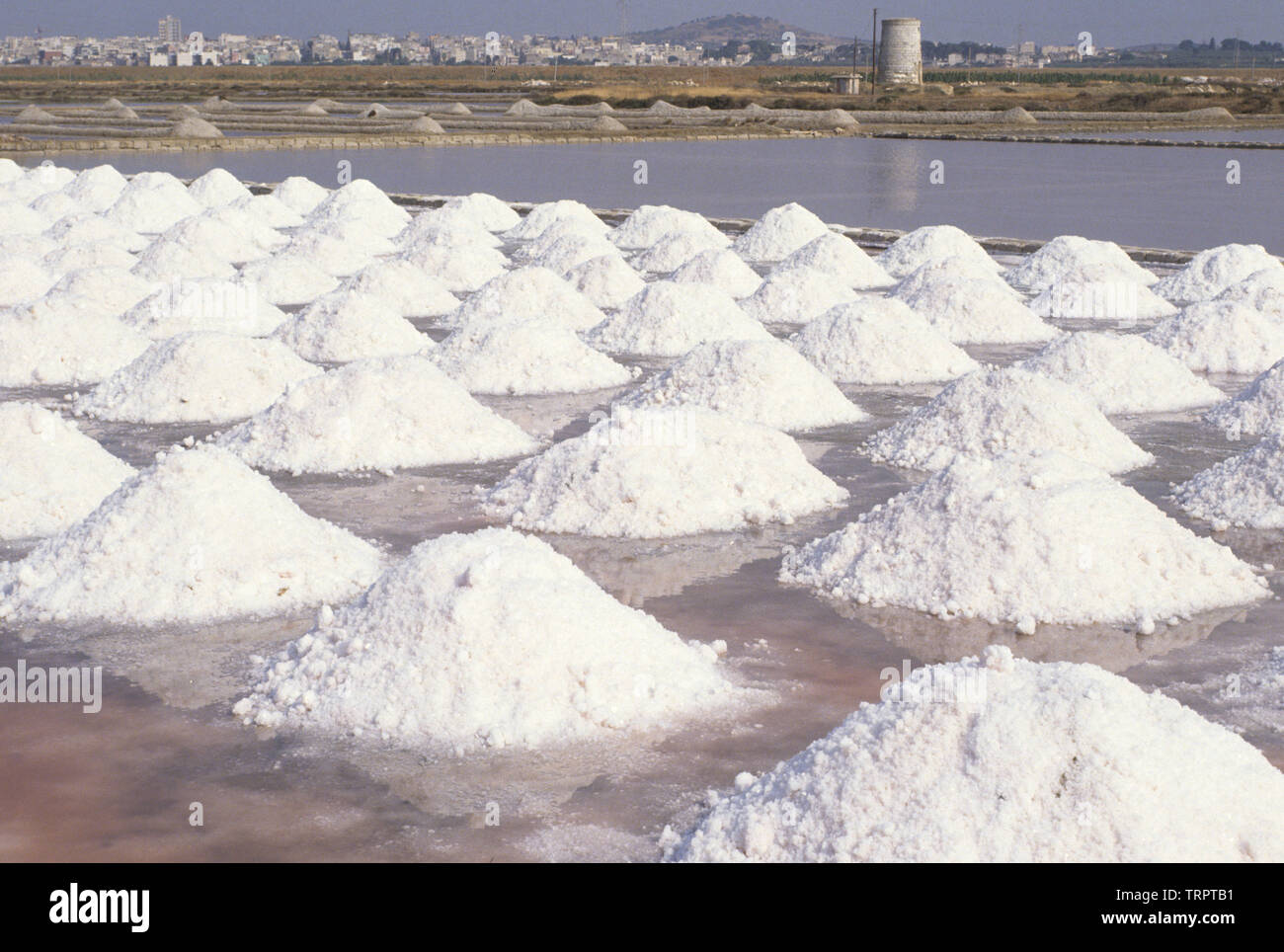 saline di trapani (salt pans trapani) sicilia (sicily), italy Stock ...