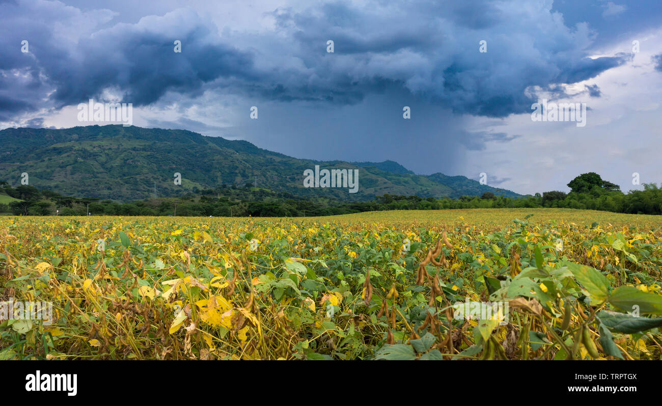 Stunning storm sunset over the valley Stock Photo - Alamy
